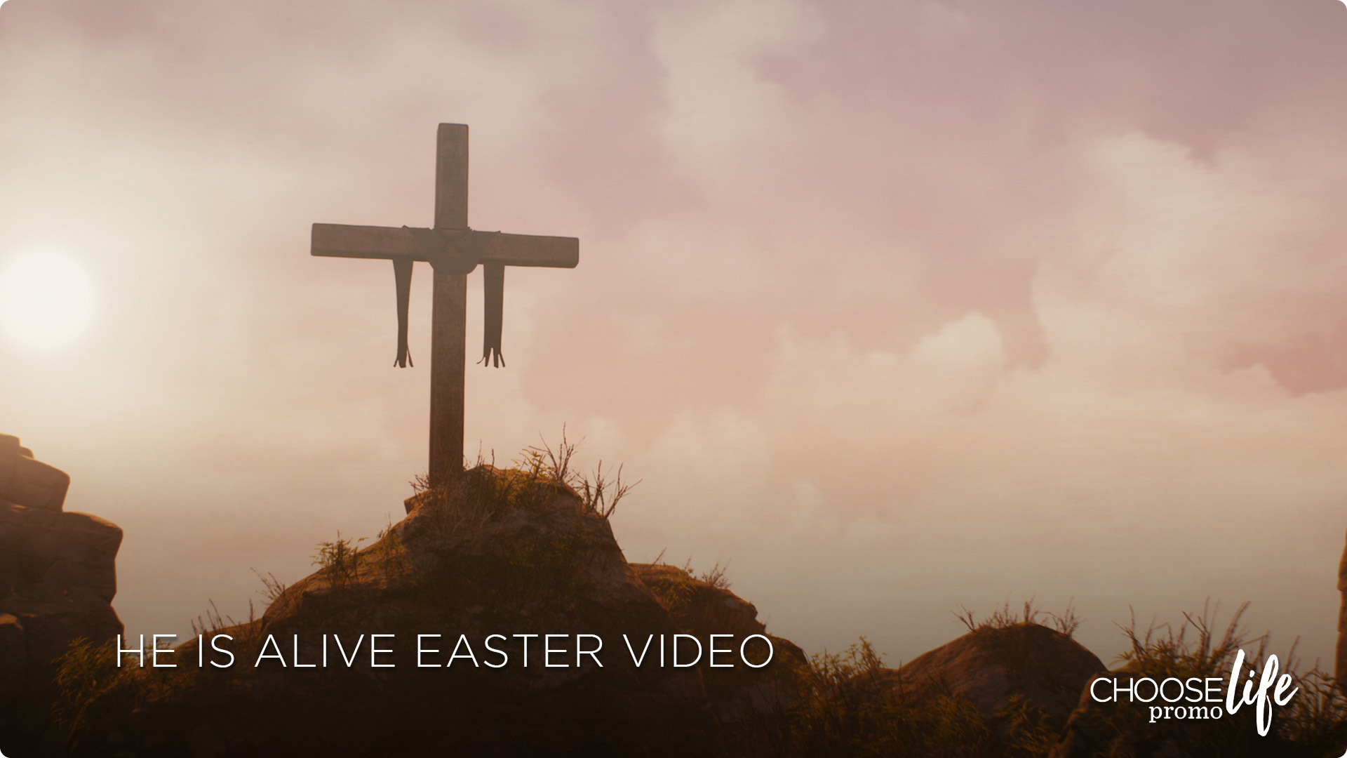 He is Alive (Donor) | 8002 | Choose Life Express