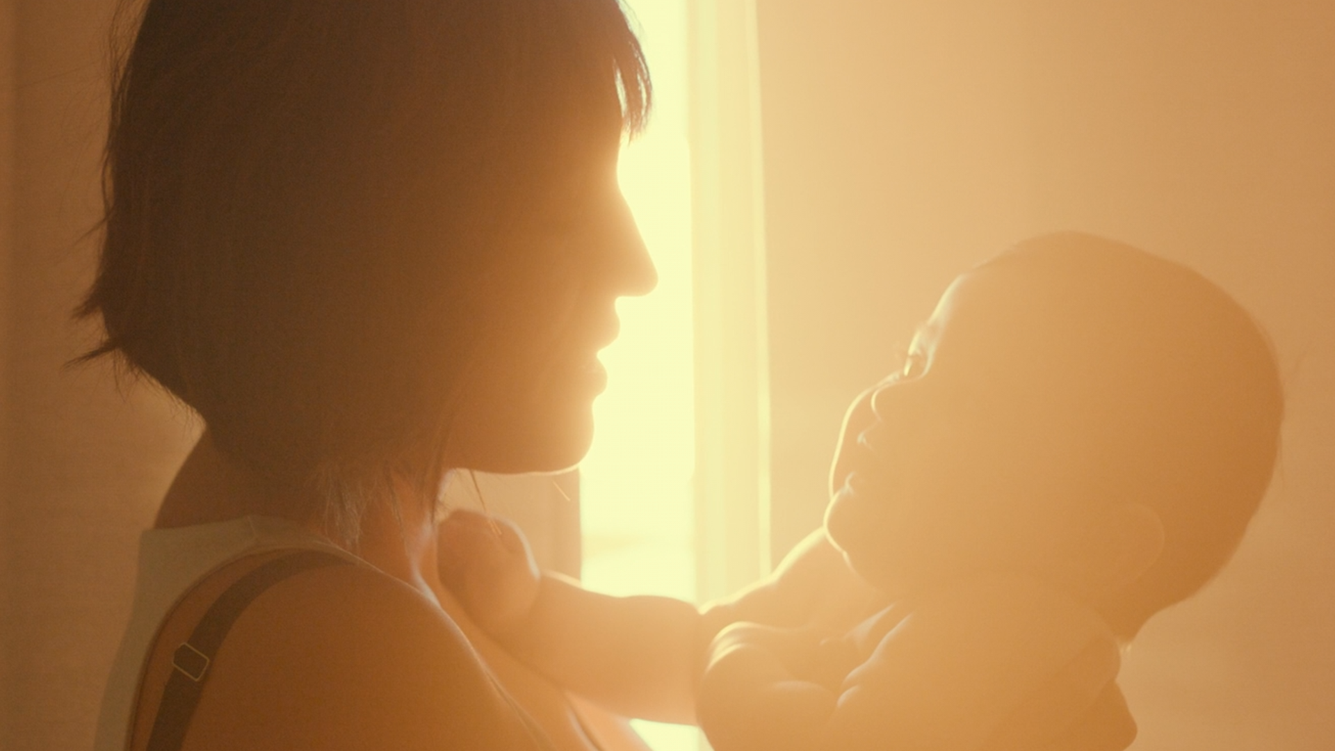 SOHL - Healing the Brokenhearted (Donor) | 17797 | Choose Life Express