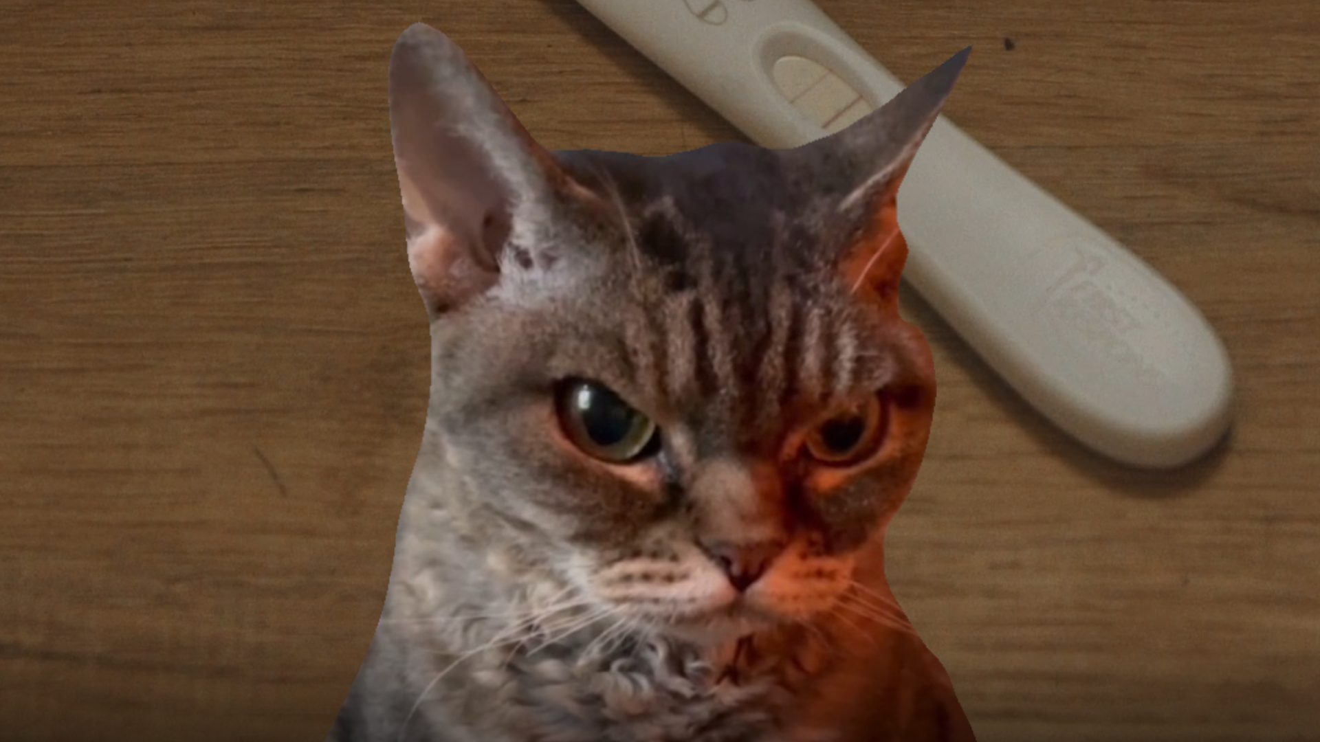 Expectation vs. Reality (Client Reel) | 119524 | Choose Life Express