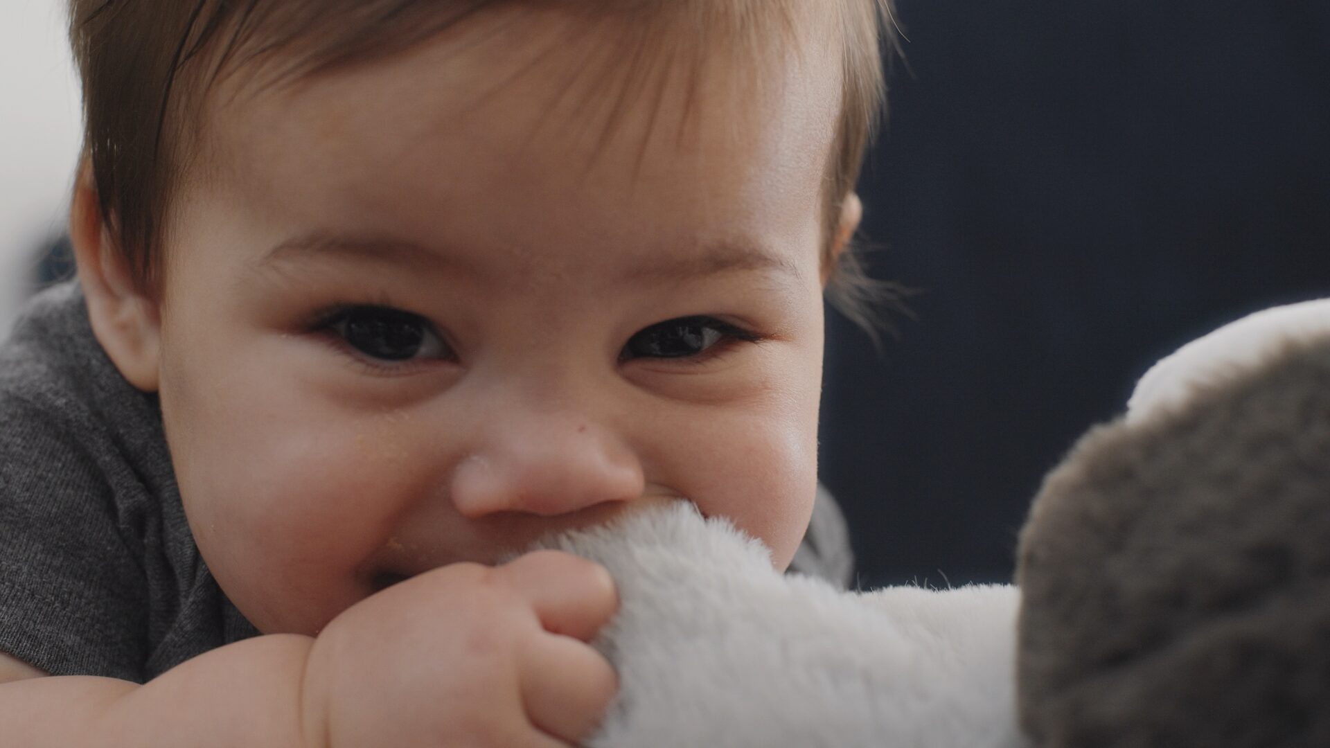 All the Days Ordained for Me (SOHL Donor) | 121485 | Choose Life Express